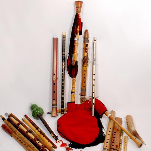 Multi instrumentista en Bogotá, Colombia